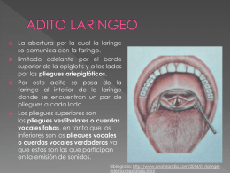 Fisiología de la Fonación | slideum.com